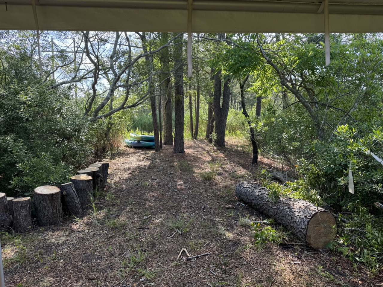 Launching - Bay Venture Bethany Beach: Kayak Rentals & Tours